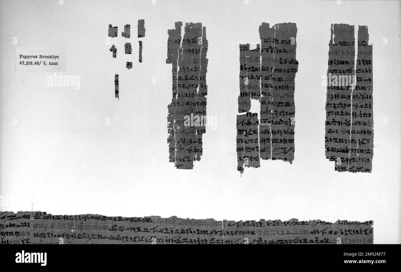 Egyptian papyrus Black and White Stock Photos & Images - Alamy