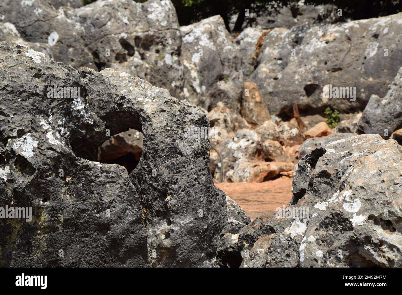 Yiftah Fissures Nature Reserve in Israel Stock Photo - Alamy