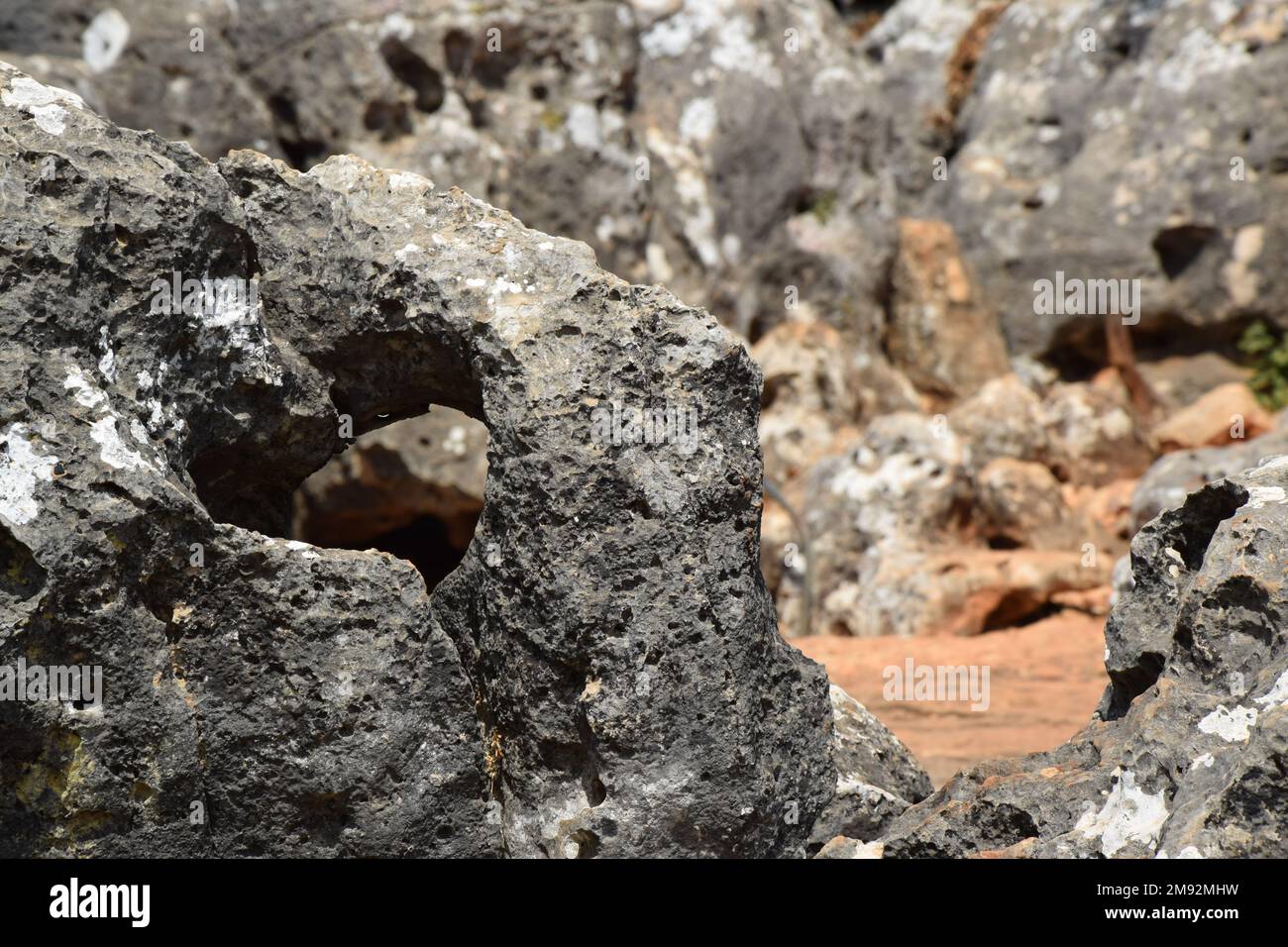 Yiftah Fissures Nature Reserve in Israel Stock Photo - Alamy