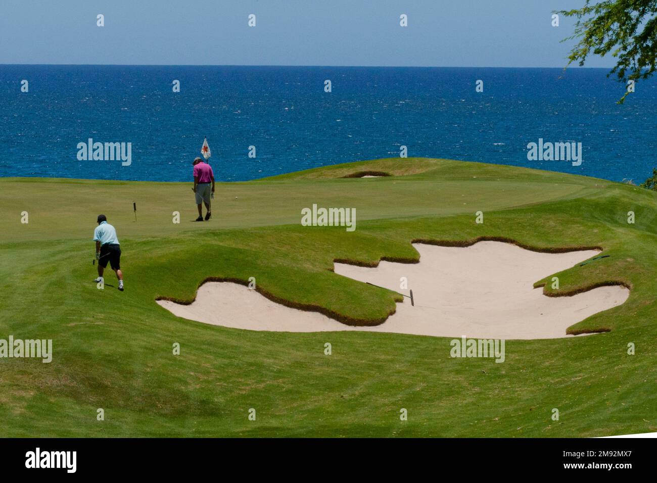 BIG ISLAND-HAWAII-16-06-2104- Tourist play on a golf course in front of ...