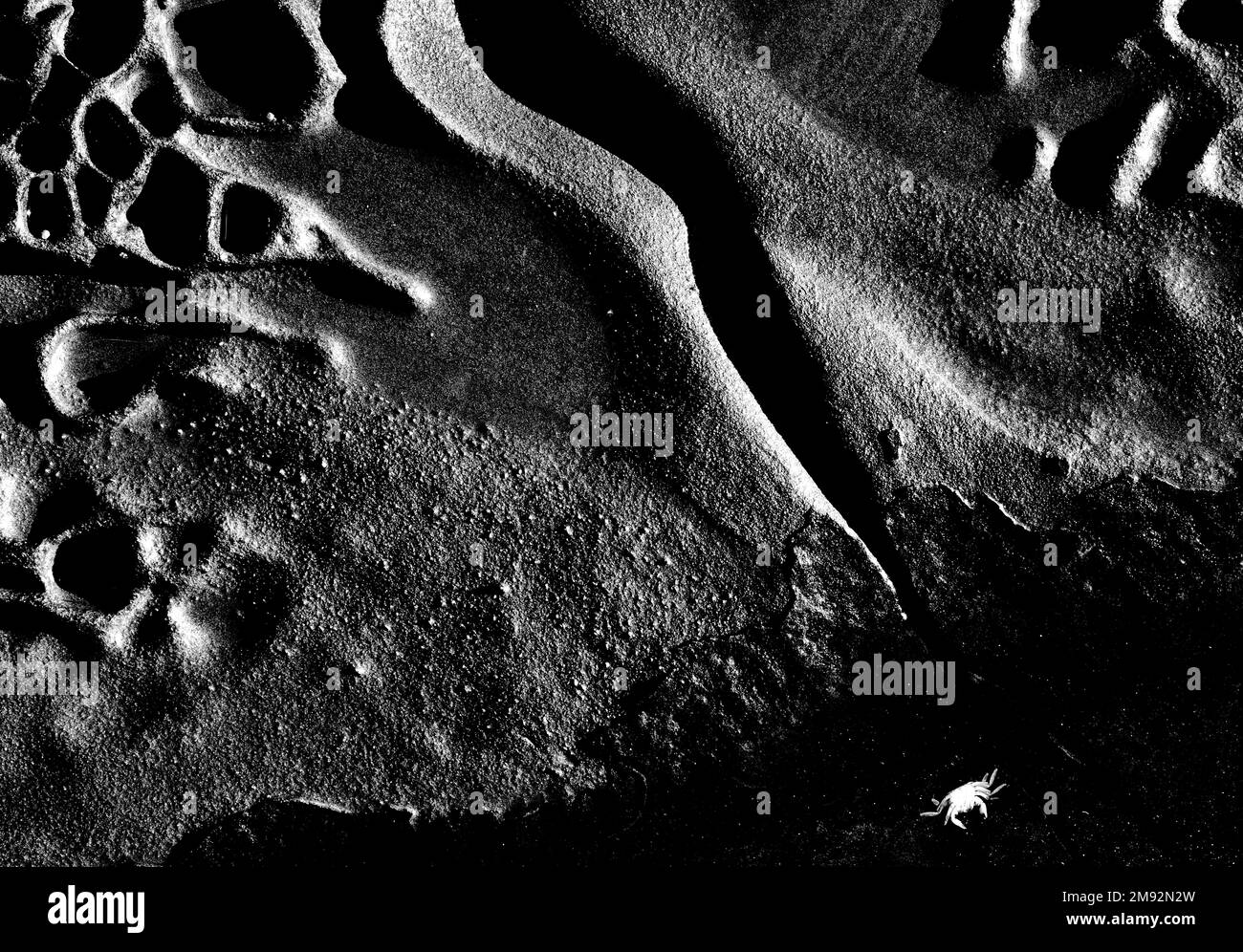 Black and white of textured background representing sandy surface with ...