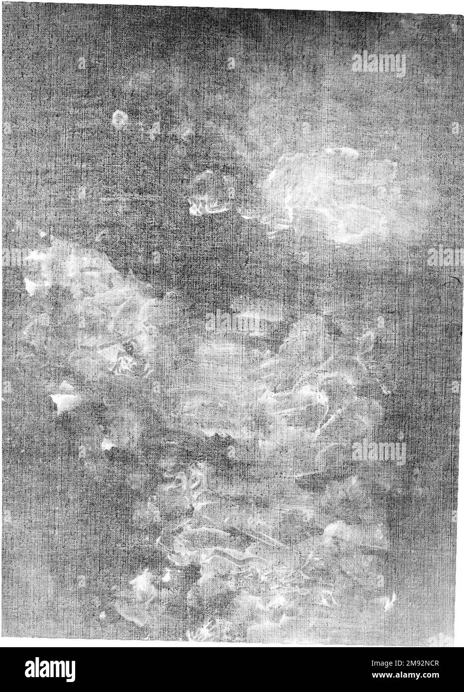 51 20 cm Cut Out Stock Images & Pictures - Alamy