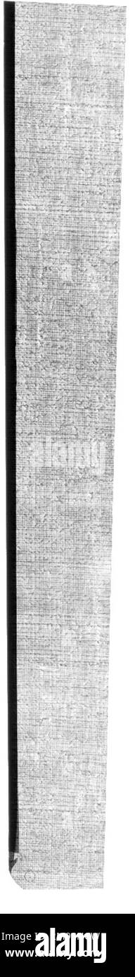 51 20 cm Cut Out Stock Images & Pictures - Alamy