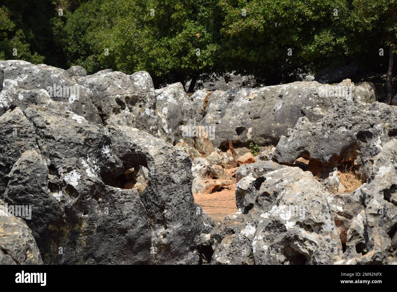 Yiftah Fissures Nature Reserve in Israel Stock Photo - Alamy