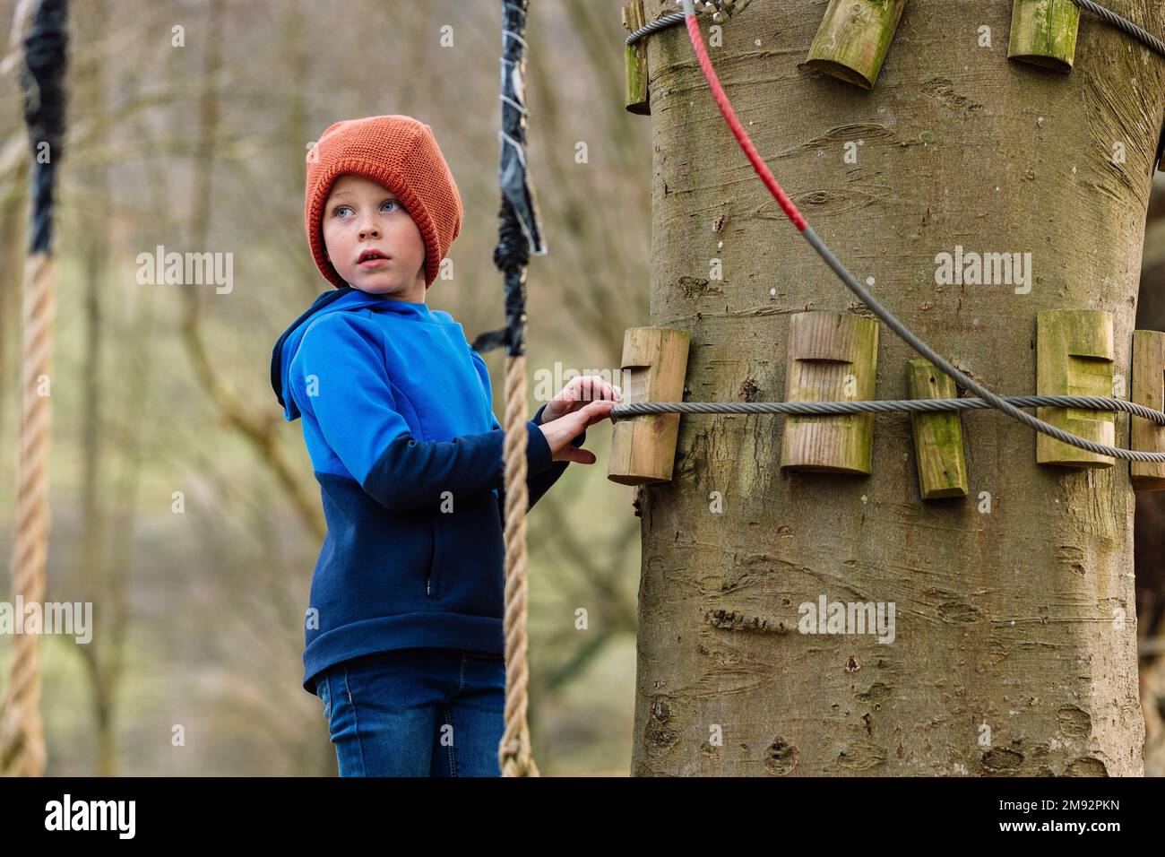 Tick on side forest hi-res stock photography and images - Alamy