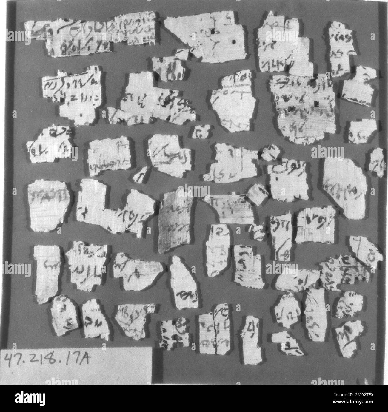 Eight Groups of Papyrus Fragments Inscribed in Demotic and Greek Eight ...