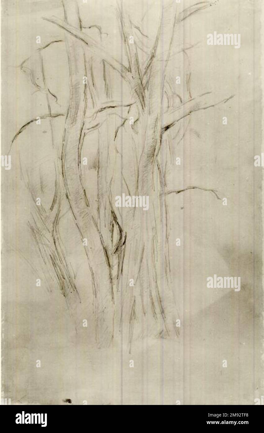Study of Trees and Rocks; Study of Trees (verso) Paul Cézanne (French ...