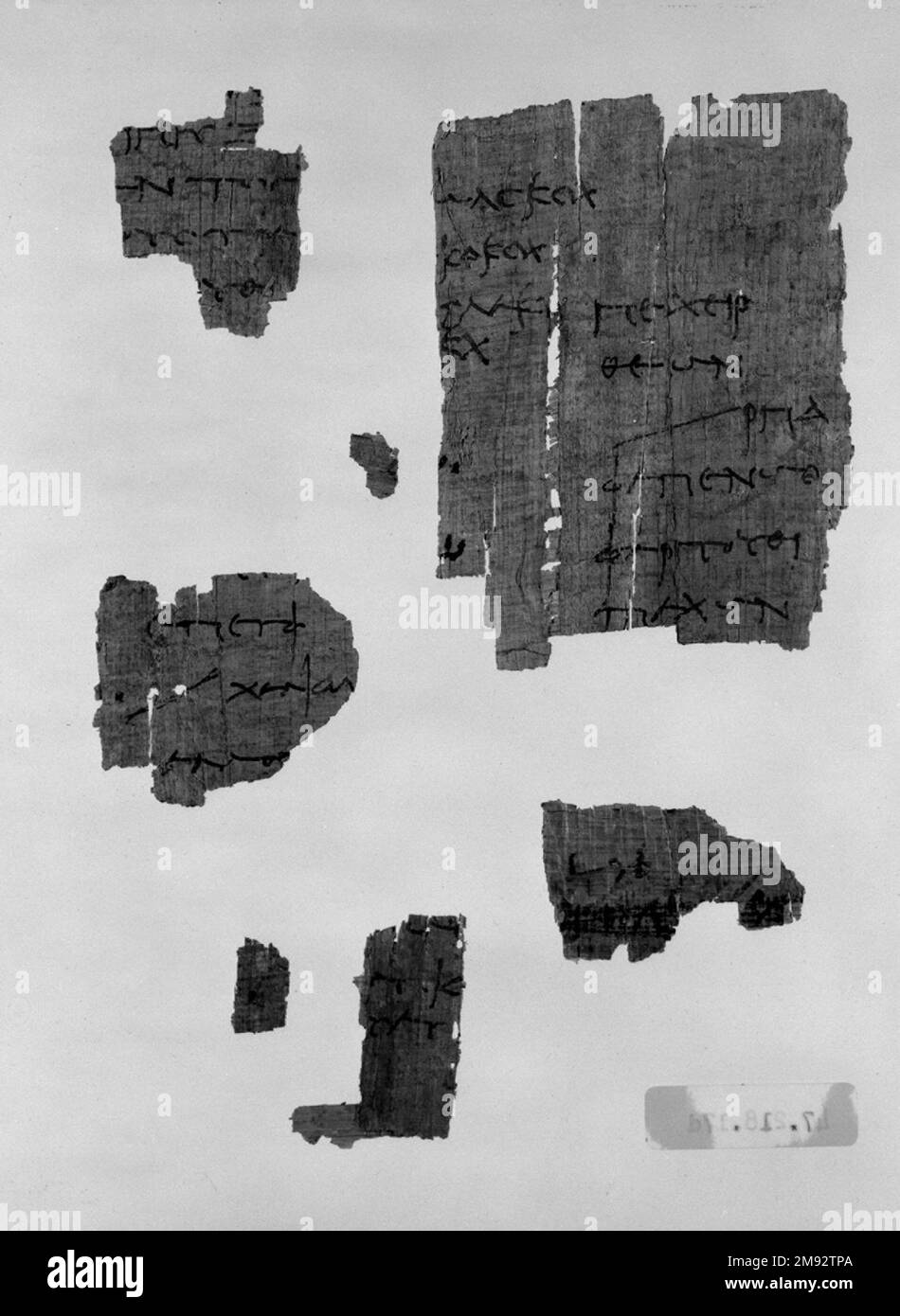 Eight Groups of Papyrus Fragments Inscribed in Demotic and Greek Eight ...