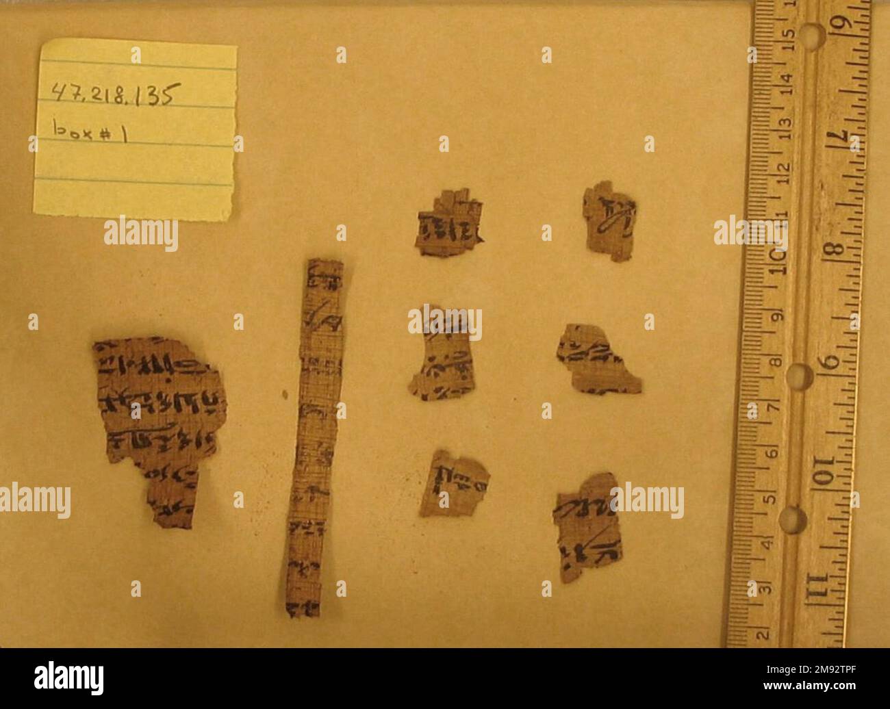 Brooklyn Wisdom Papyrus Brooklyn Wisdom Papyrus, late 6th century B.C.E ...