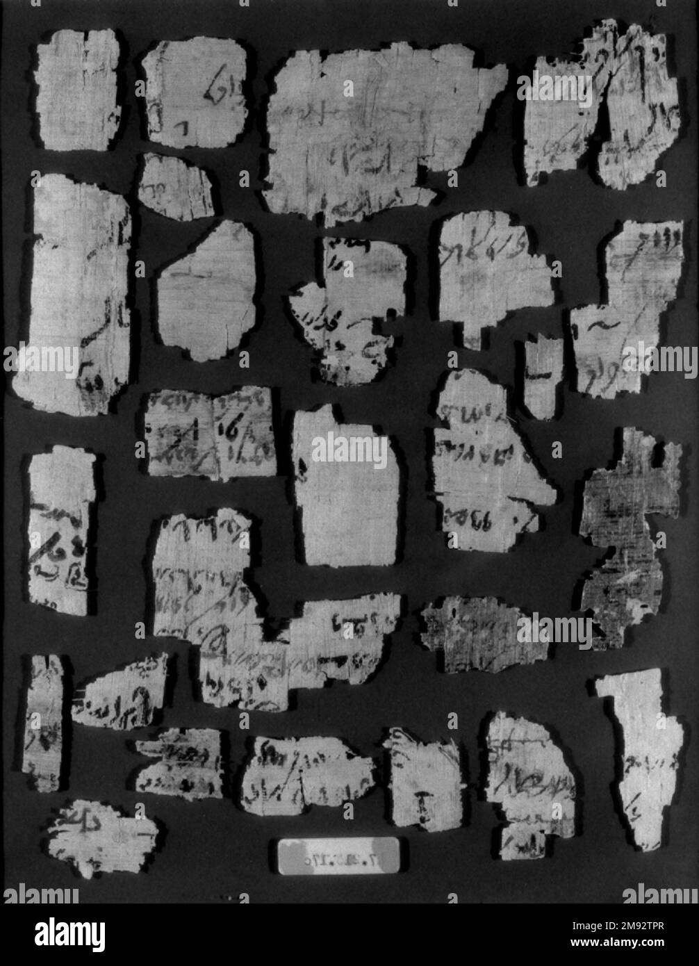 Eight Groups of Papyrus Fragments Inscribed in Demotic and Greek Eight ...