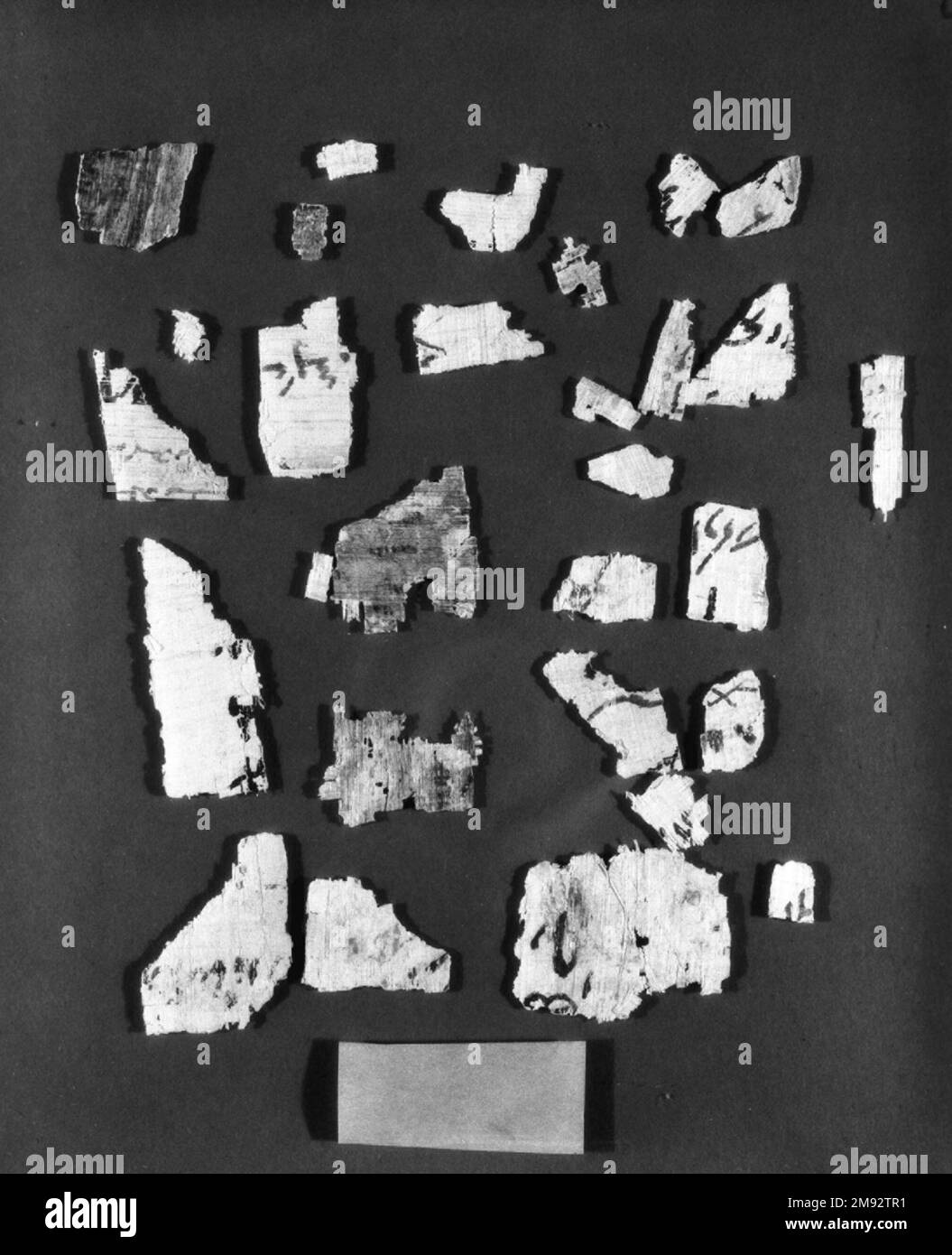 Eight Groups of Papyrus Fragments Inscribed in Demotic and Greek Eight ...