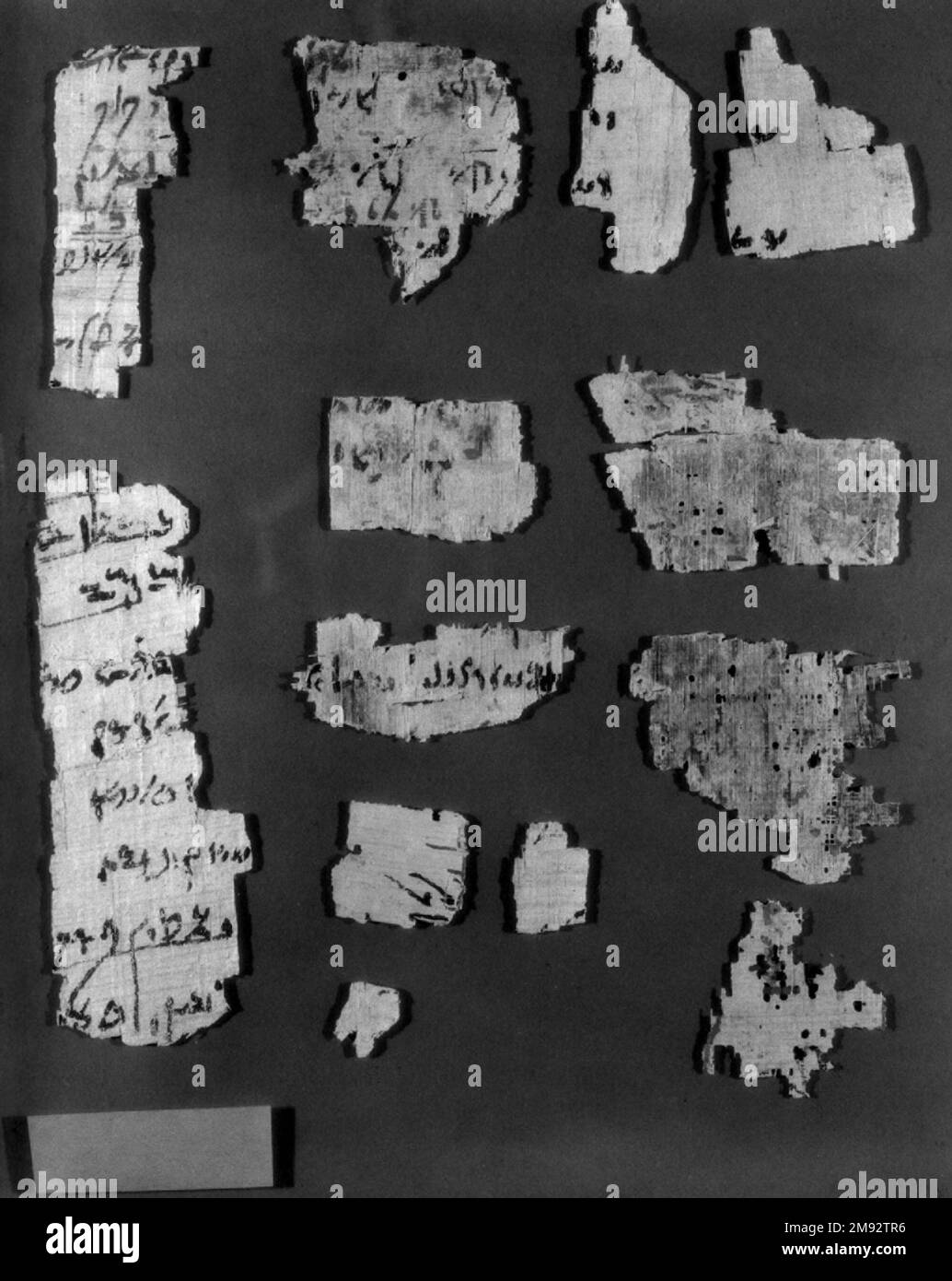 Eight Groups of Papyrus Fragments Inscribed in Demotic and Greek Eight ...