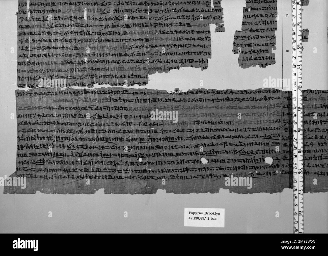 Snakebite Papyrus Snakebite Papyrus, 6th-4th century B.C.E. Papyrus ...
