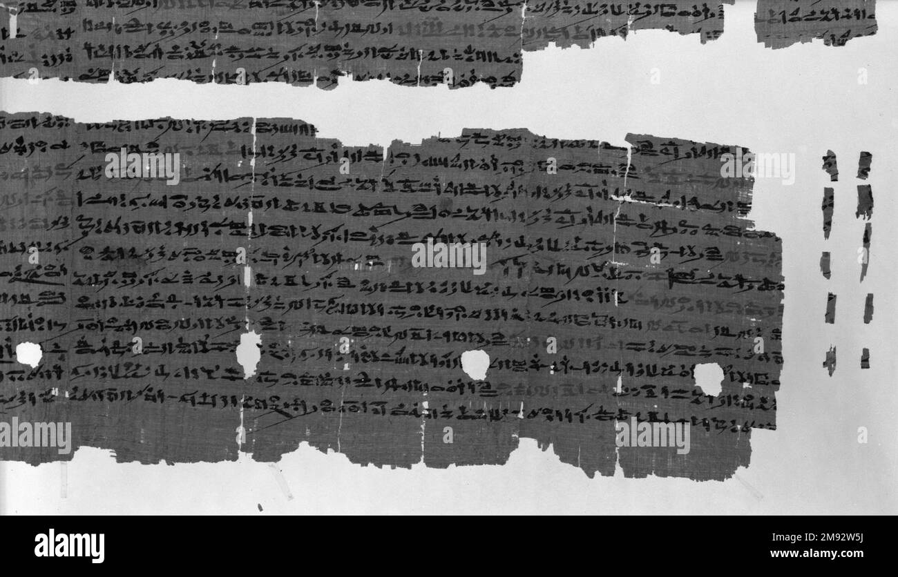 Snakebite Papyrus Snakebite Papyrus, 6th-4th century B.C.E. Papyrus ...