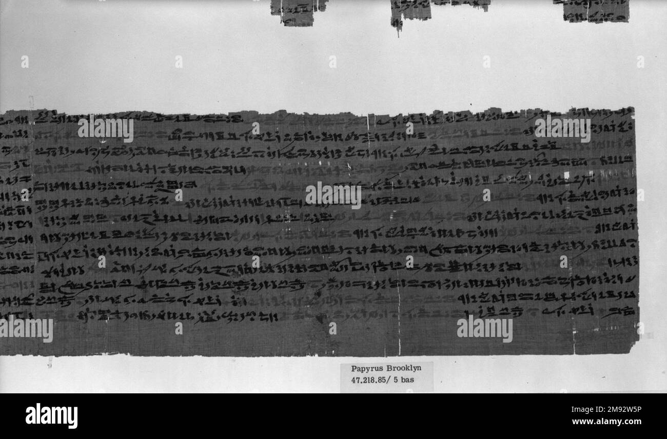 Snakebite Papyrus Snakebite Papyrus, 6th-4th century B.C.E. Papyrus ...