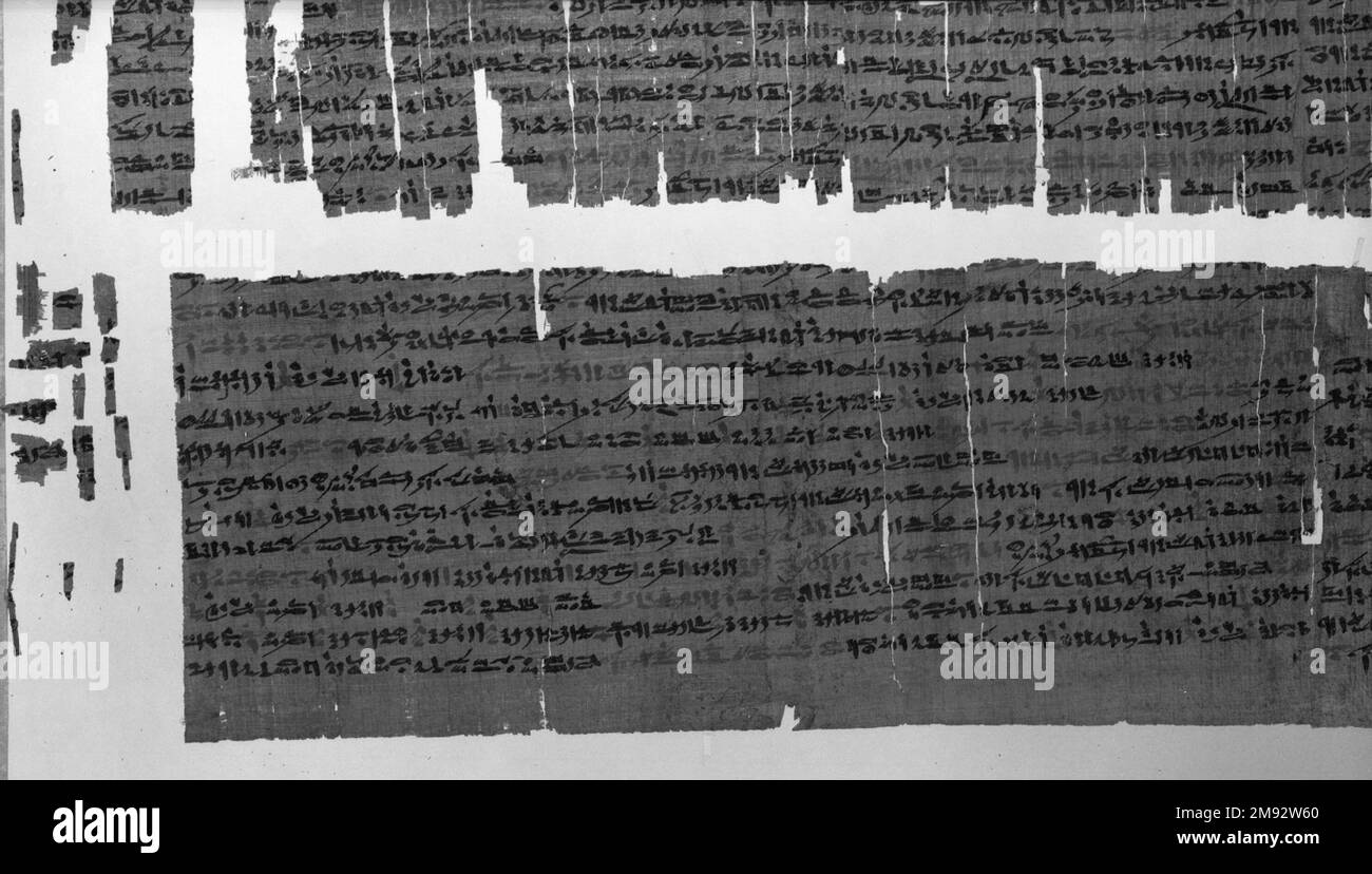 Snakebite Papyrus Snakebite Papyrus, 6th-4th century B.C.E. Papyrus ...