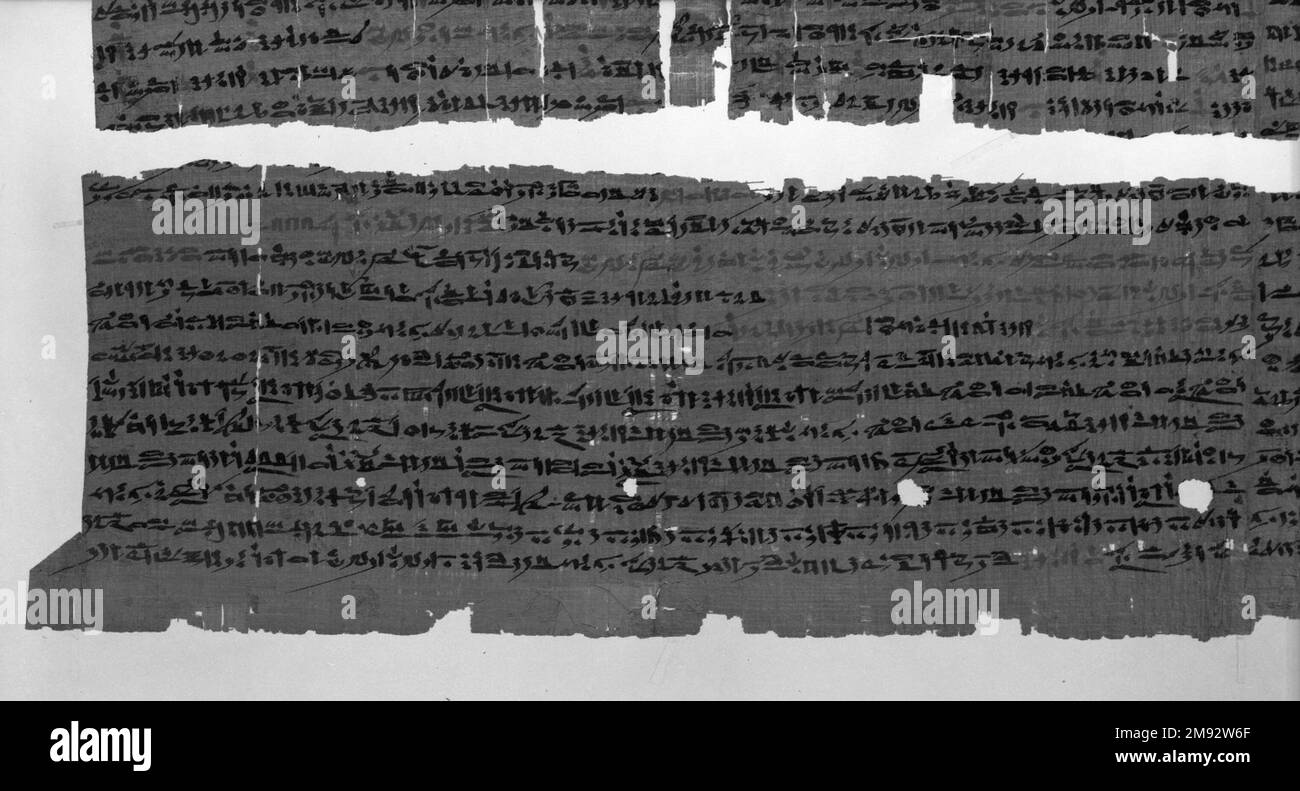 Snakebite Papyrus Snakebite Papyrus, 6th-4th century B.C.E. Papyrus ...