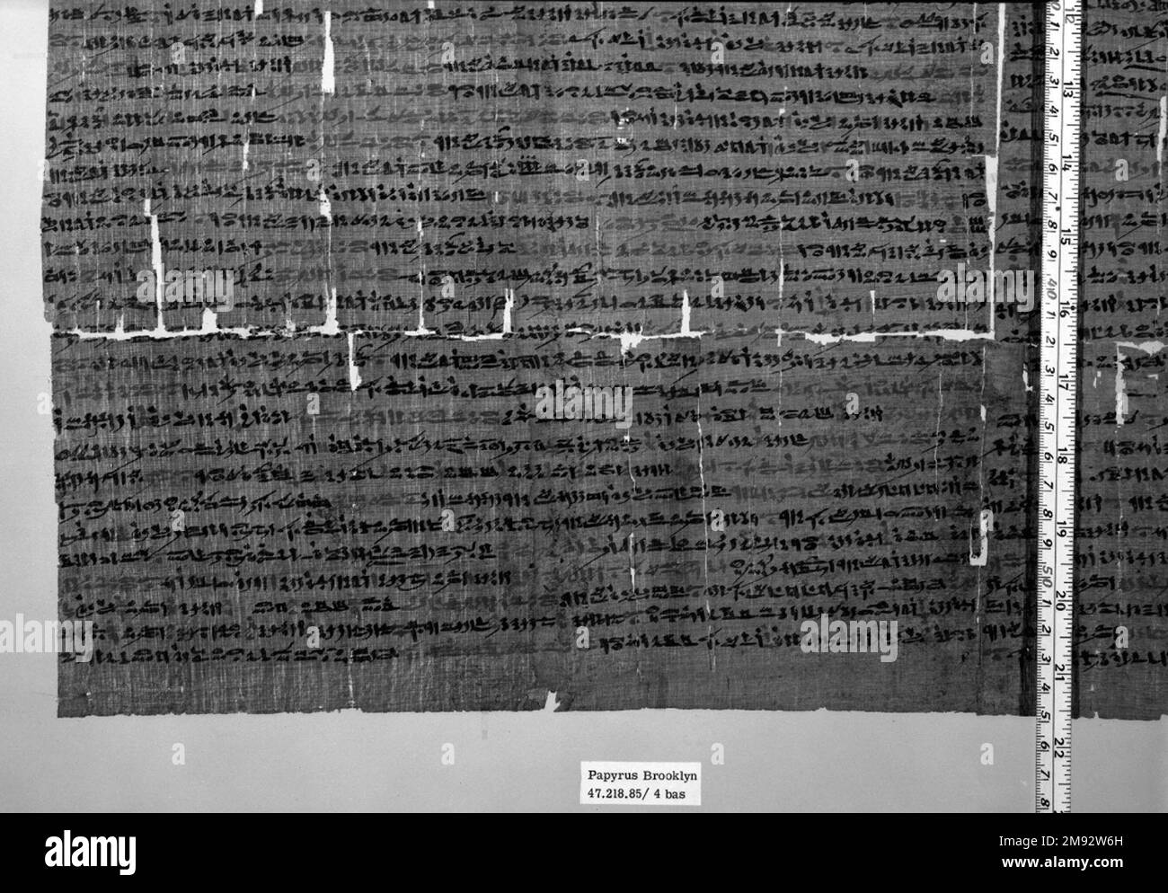 Snakebite Papyrus Snakebite Papyrus, 6th-4th century B.C.E. Papyrus ...