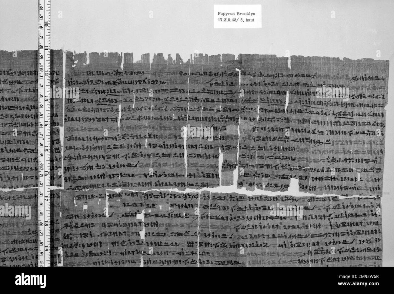 Snakebite Papyrus Snakebite Papyrus, 6th-4th century B.C.E. Papyrus ...