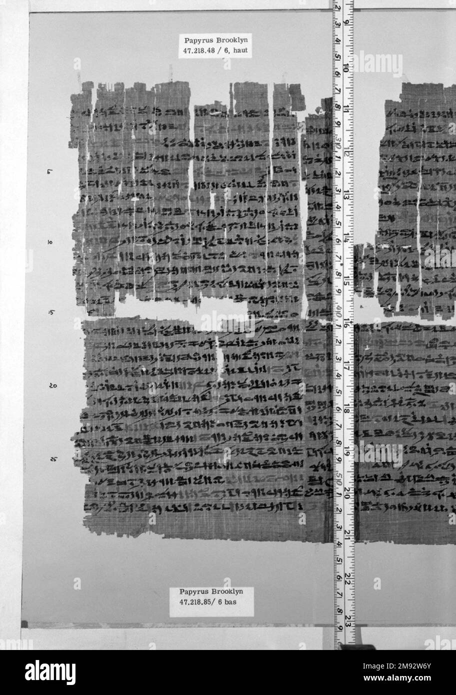 Snakebite Papyrus Snakebite Papyrus, 6th-4th century B.C.E. Papyrus ...