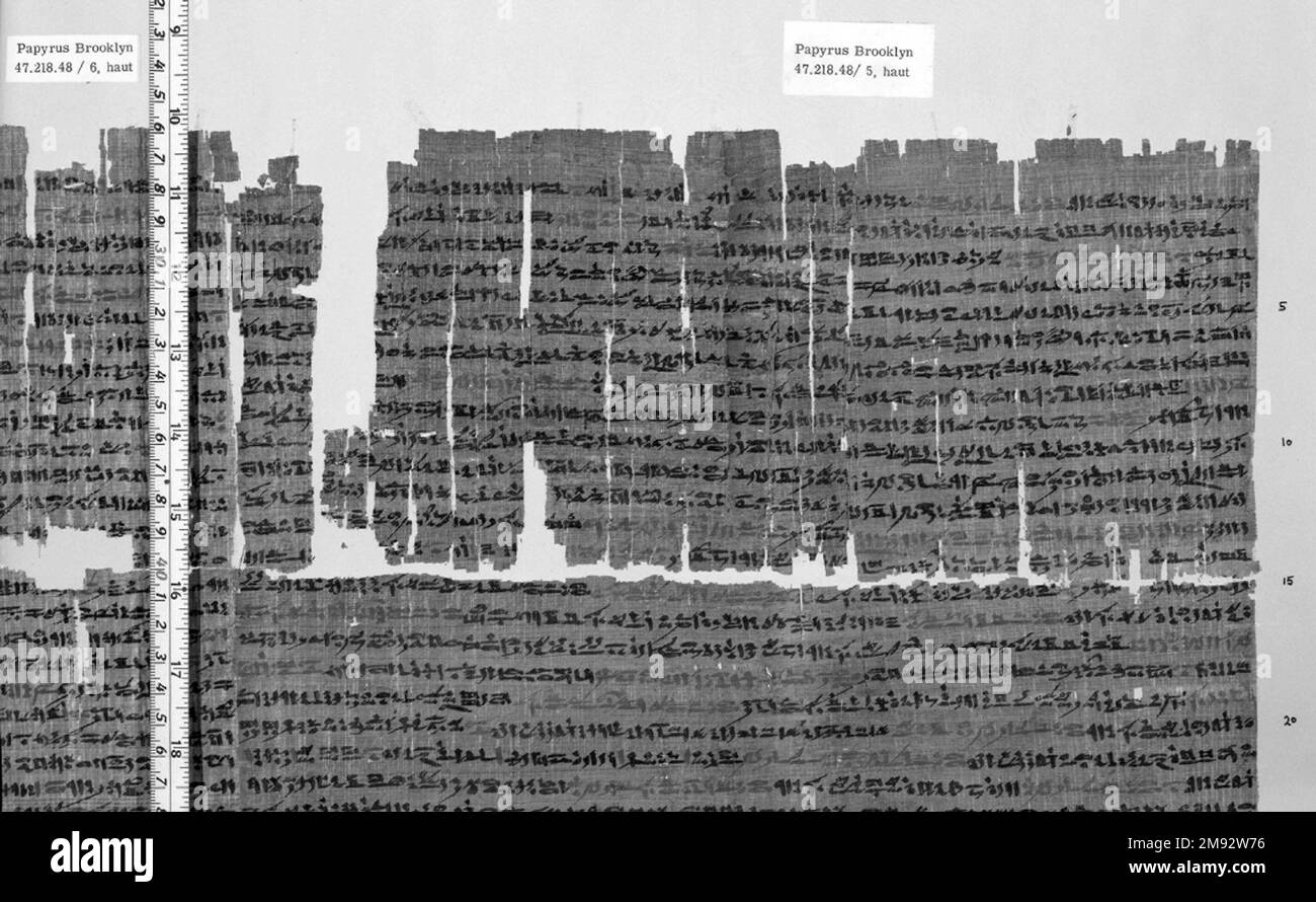 Snakebite Papyrus Snakebite Papyrus, 6th-4th century B.C.E. Papyrus ...