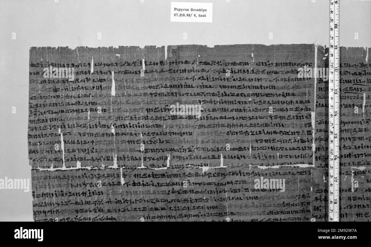 Snakebite Papyrus Snakebite Papyrus, 6th-4th century B.C.E. Papyrus ...