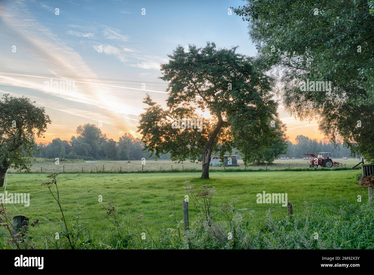 Colorful rural landscape with trees and a tractor at dawn Stock Photo ...