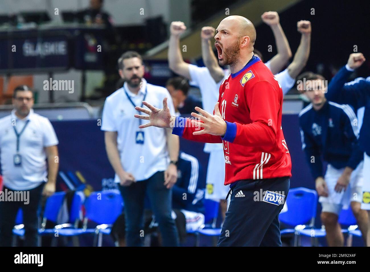 Vincent Gerard during IHF MenÕs World Championship match between ...