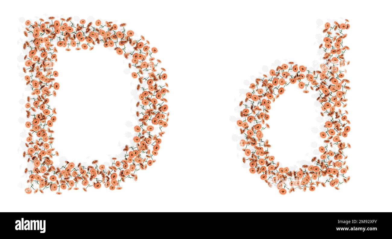 Concept or conceptual set of beautifull blooming gerberas bouquets ...