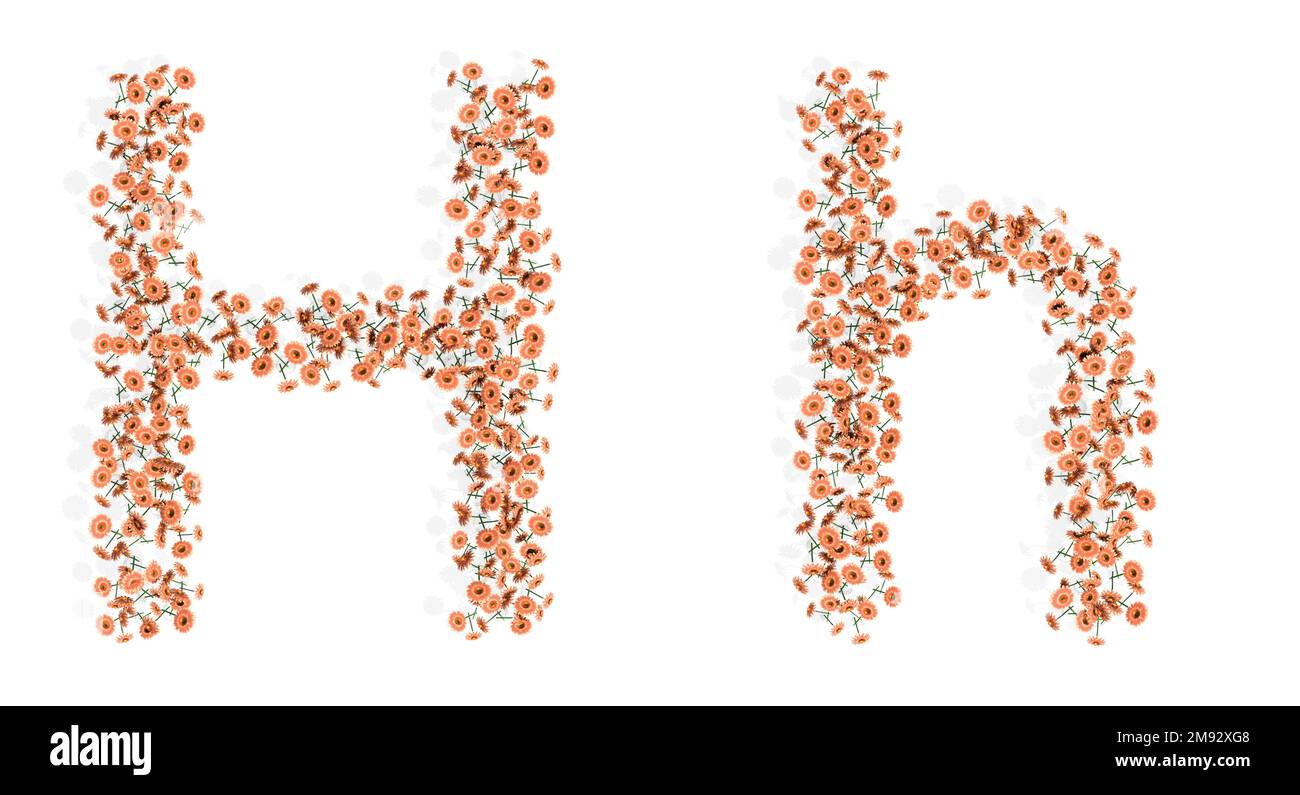 Concept or conceptual set of beautifull blooming gerberas bouquets ...