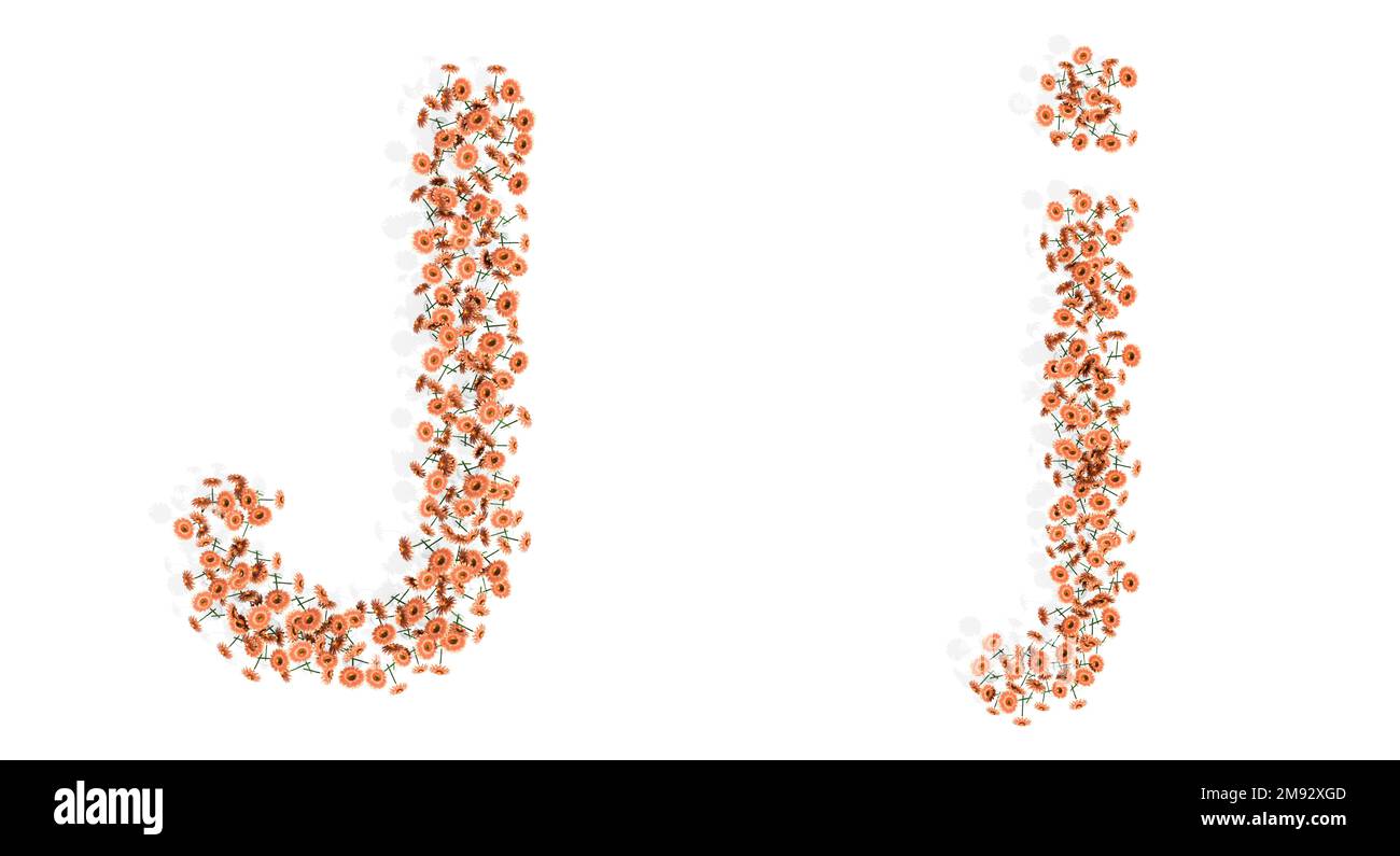 Concept or conceptual set of beautifull blooming gerberas bouquets ...