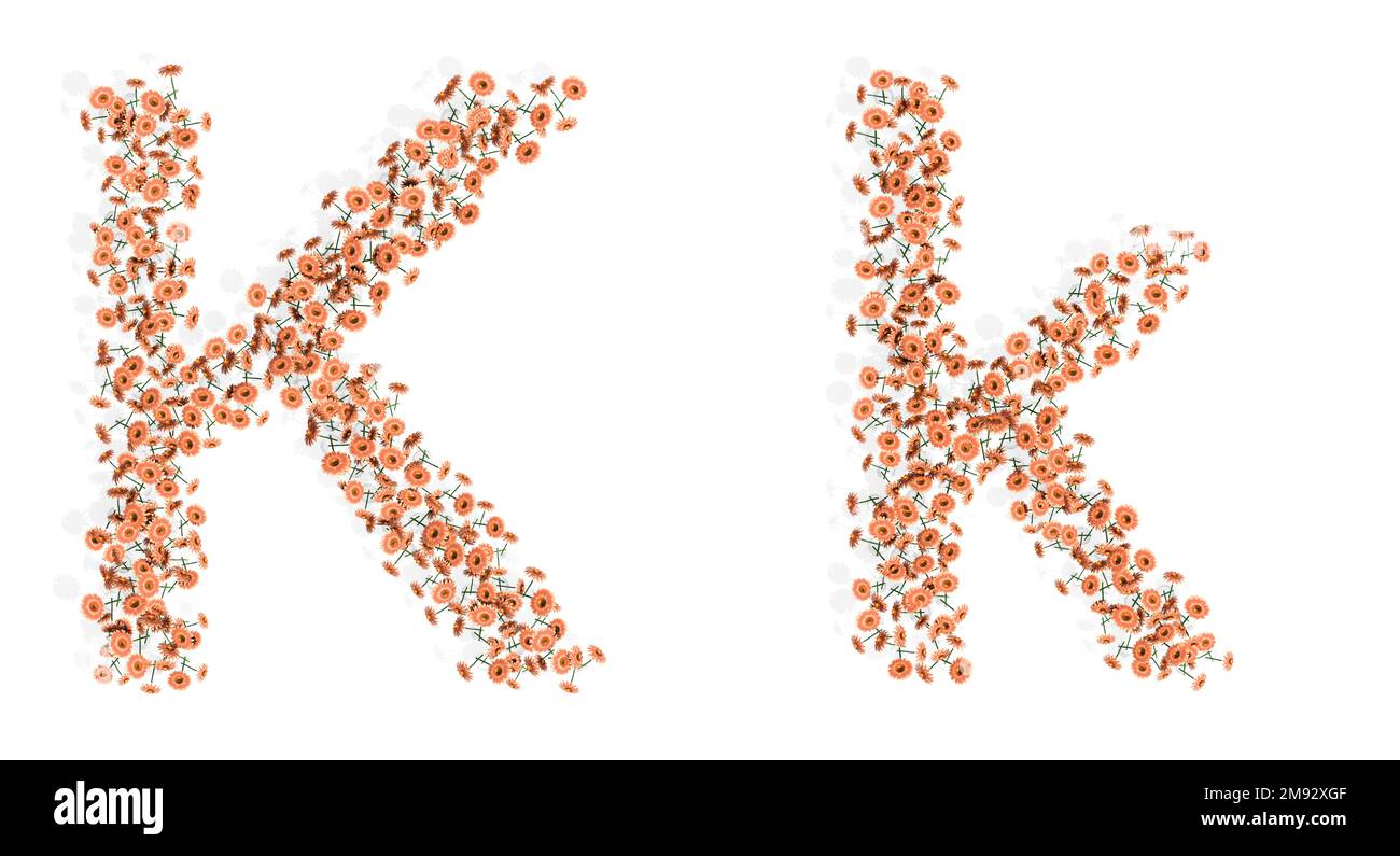 Concept or conceptual set of beautifull blooming gerberas bouquets ...