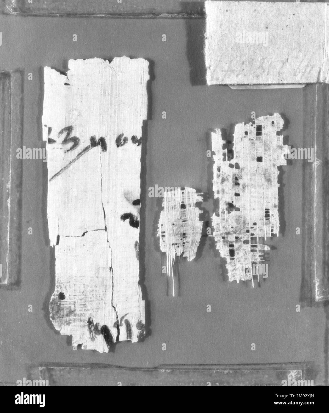 Papyrus Fragments Inscribed in Demotic Demotic. Papyrus Fragments ...