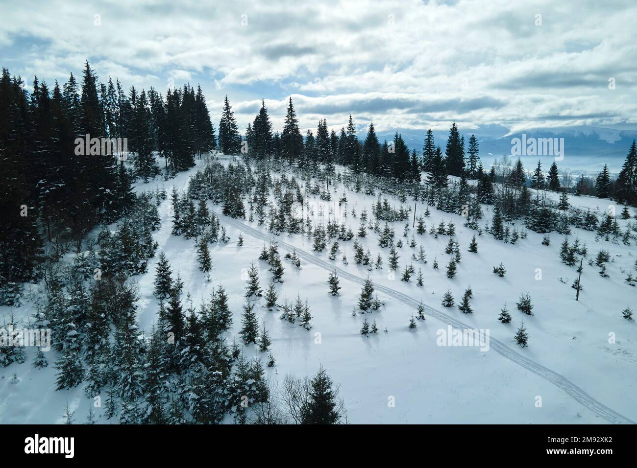 Winter landscape with small village houses between snow covered forest in cold mountains Stock ...