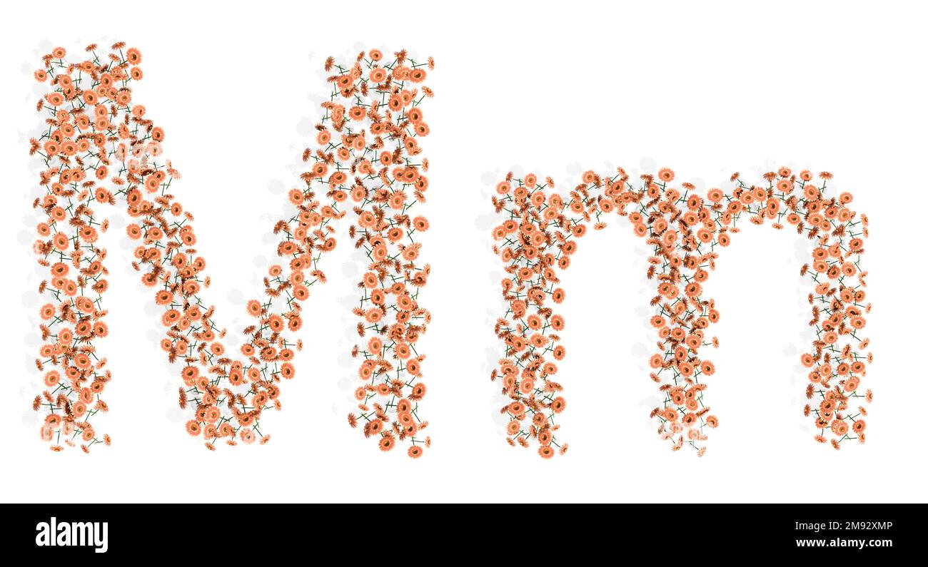 Concept or conceptual set of beautifull blooming gerberas bouquets ...