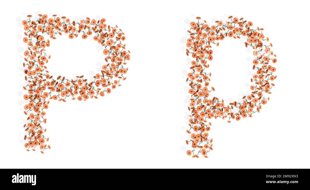 Concept or conceptual set of beautifull blooming gerberas bouquets ...