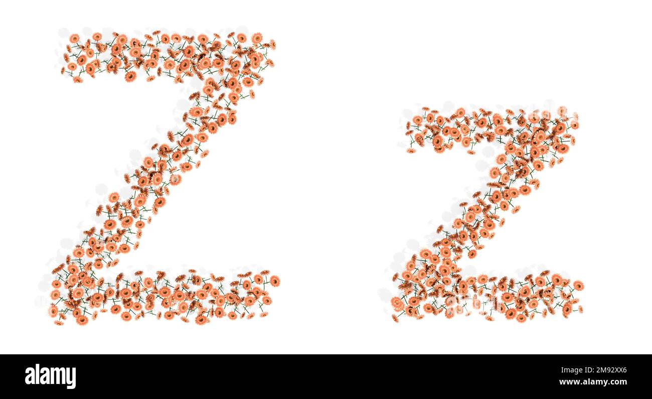 Concept or conceptual set of beautifull blooming gerberas bouquets ...