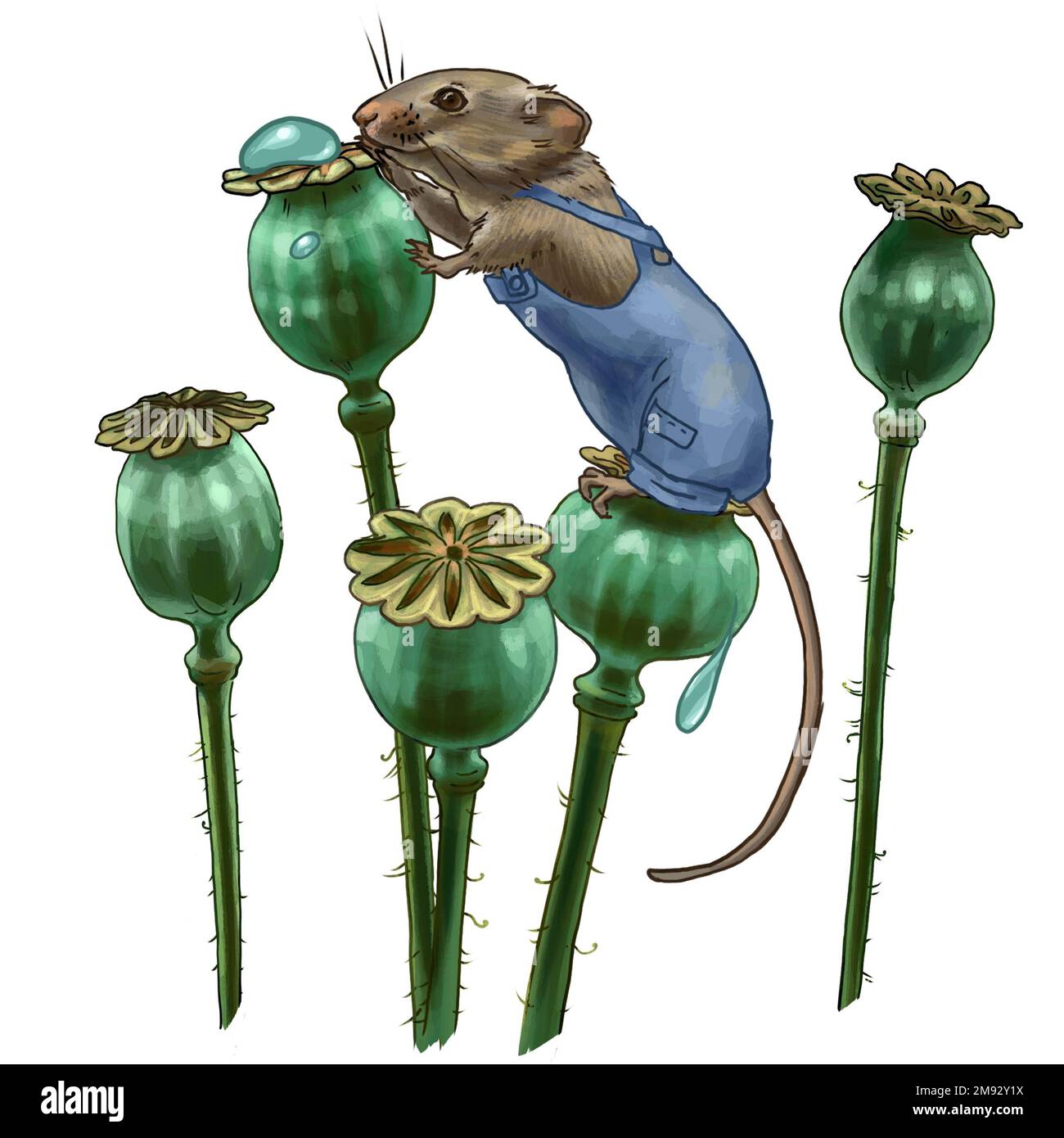 Color illustration of a mouse and a flower. High quality illustration ...