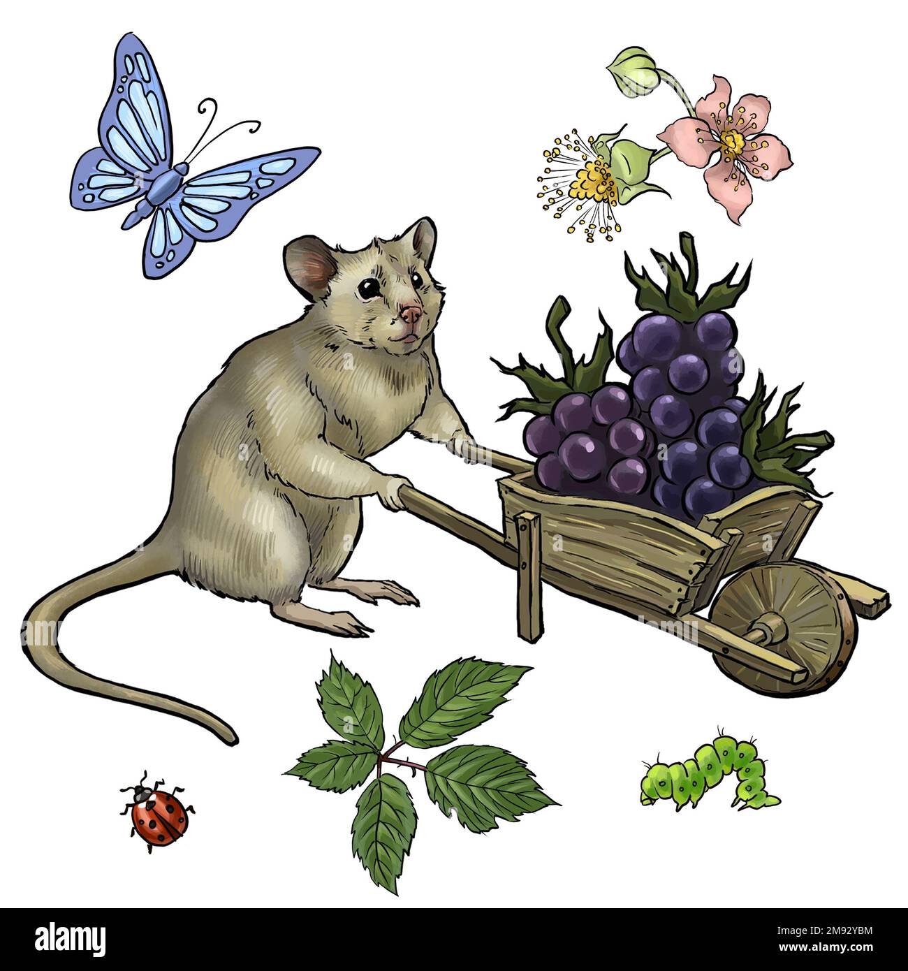 Ratatouille cartoon Cut Out Stock Images & Pictures - Alamy