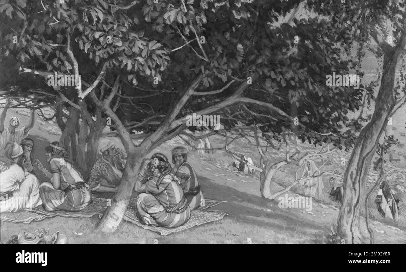 Nathanael fig tree hi-res stock photography and images - Alamy