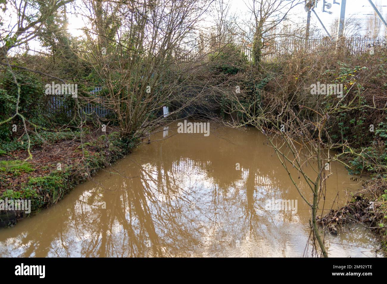 River Roach gully feeding into Rochford Reservoir, high after heavy ...
