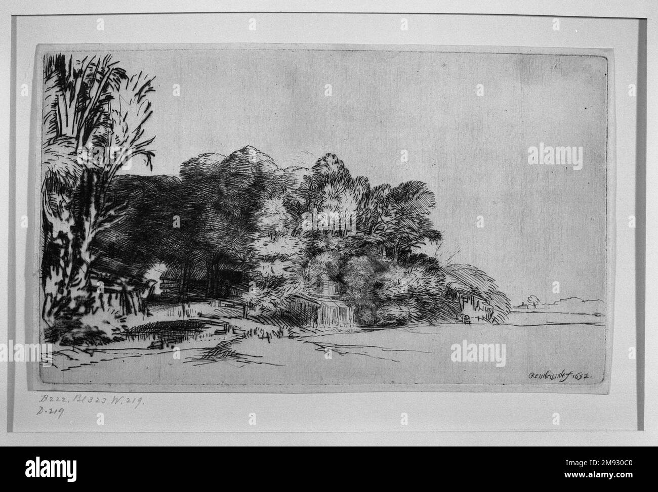 Clump of Trees with a Vista Rembrandt Harmensz. van Rijn (Dutch, 1606 ...