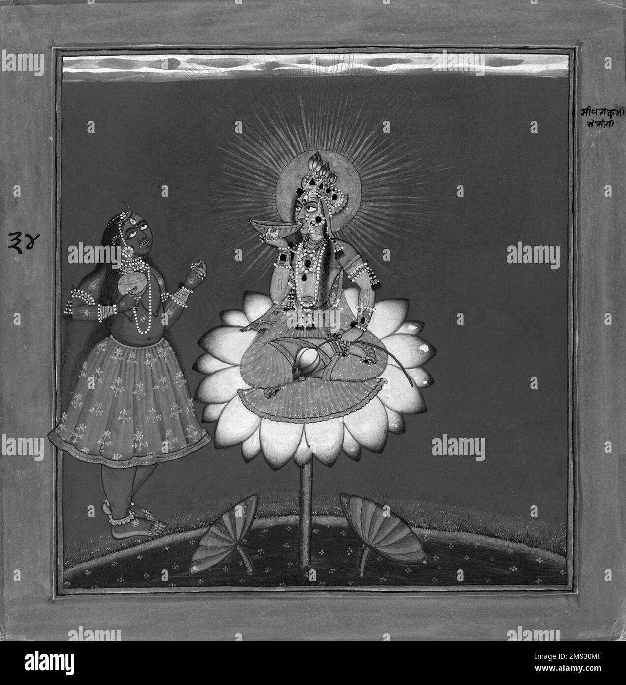 The gold beetle Black and White Stock Photos & Images - Alamy