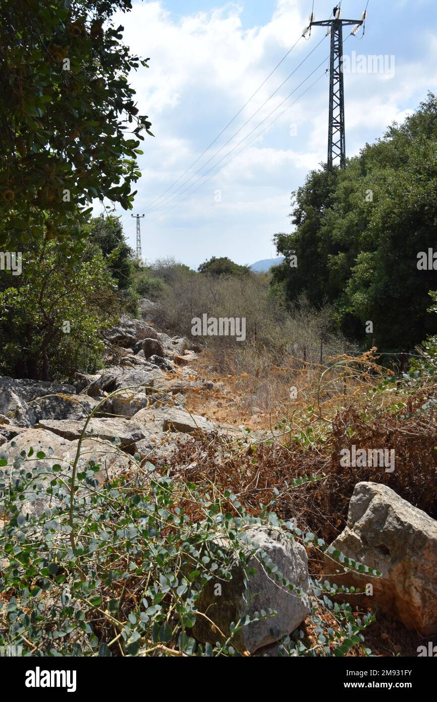 Yiftah Fissures Nature Reserve in Israel Stock Photo - Alamy