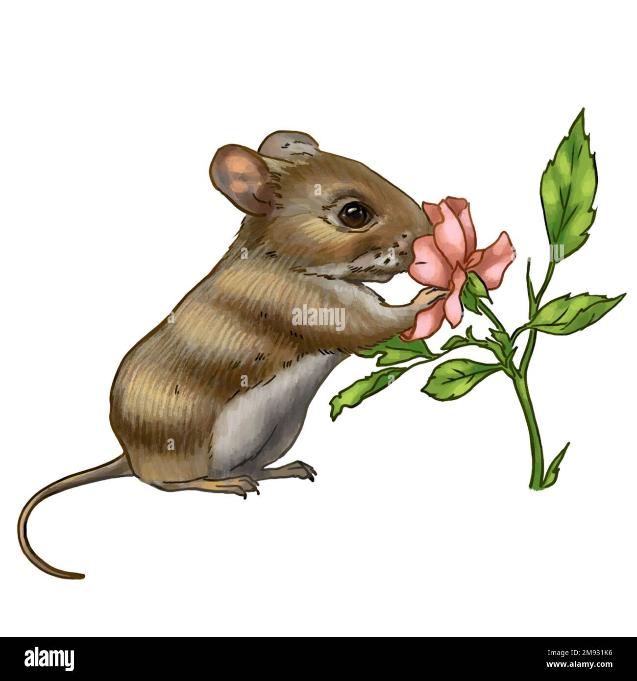 Color illustration of a mouse and a flower. High quality illustration ...
