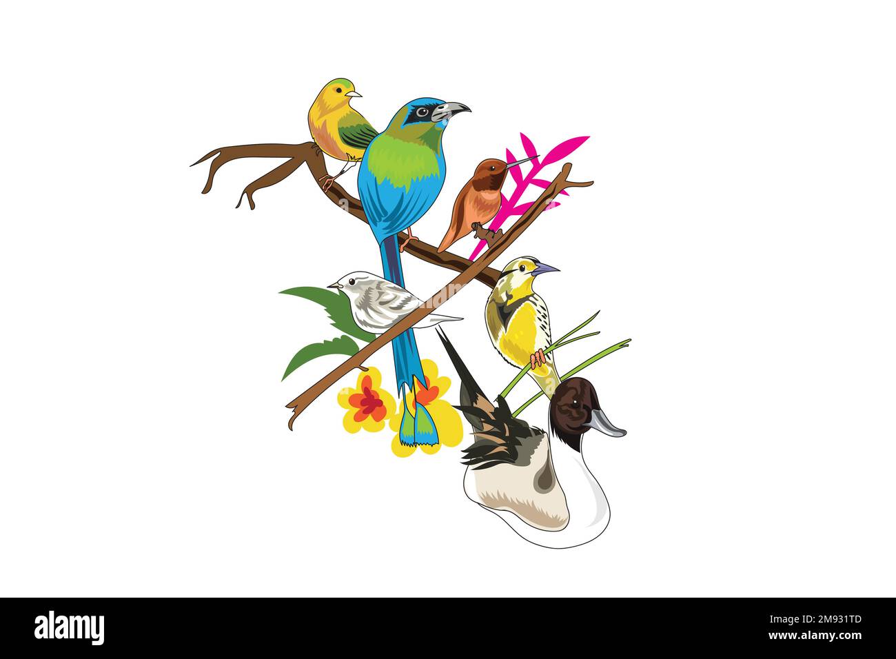 World Migratory bird day vector illustration Stock Vector Image & Art ... World Migratory bird day vector illustration Stock Vector Image & Art ...
