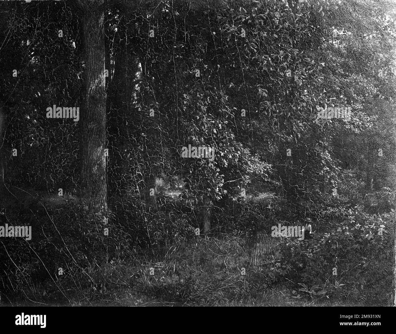 Tulip Trees William Trost Richards (American, 1833-1905). Tulip Trees ...