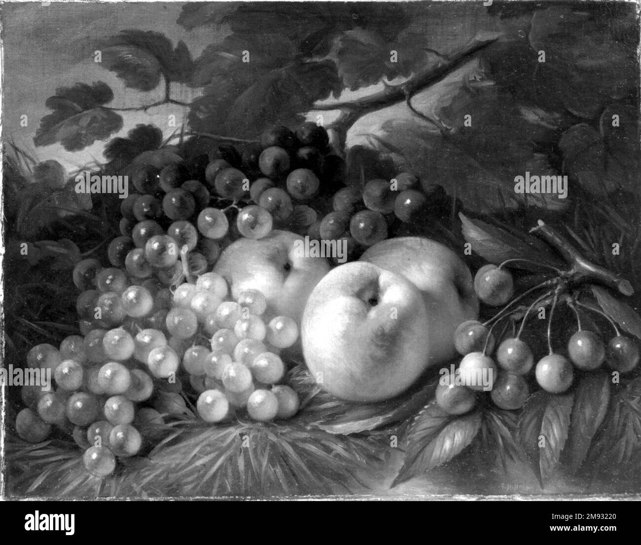 Peaches, Grapes and Cherries George Henry Hall (American, 1825-1913 ...