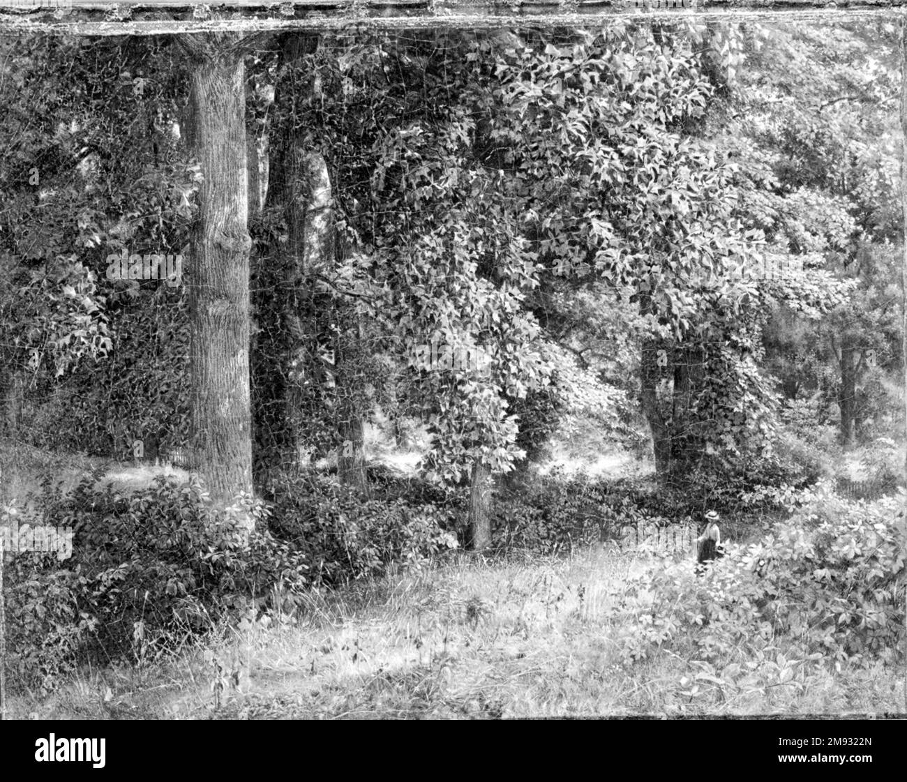 Tulip Trees William Trost Richards (American, 1833-1905). Tulip Trees ...