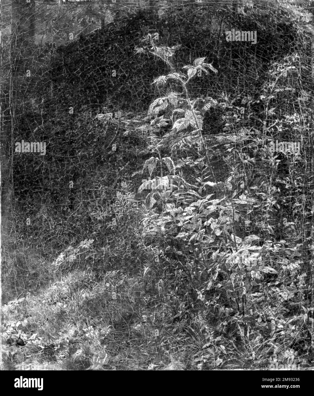 31 8 x 1 3 cm Black and White Stock Photos & Images - Alamy